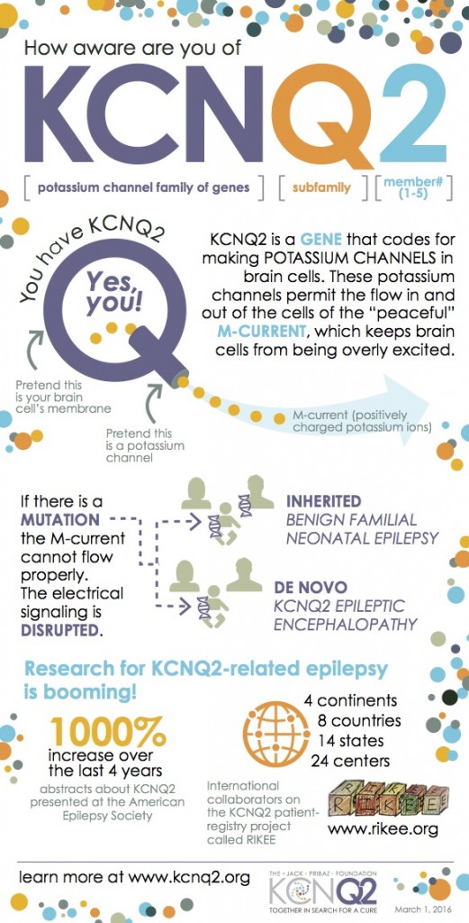 Handy KCNQ2 infographic | KCNQ2